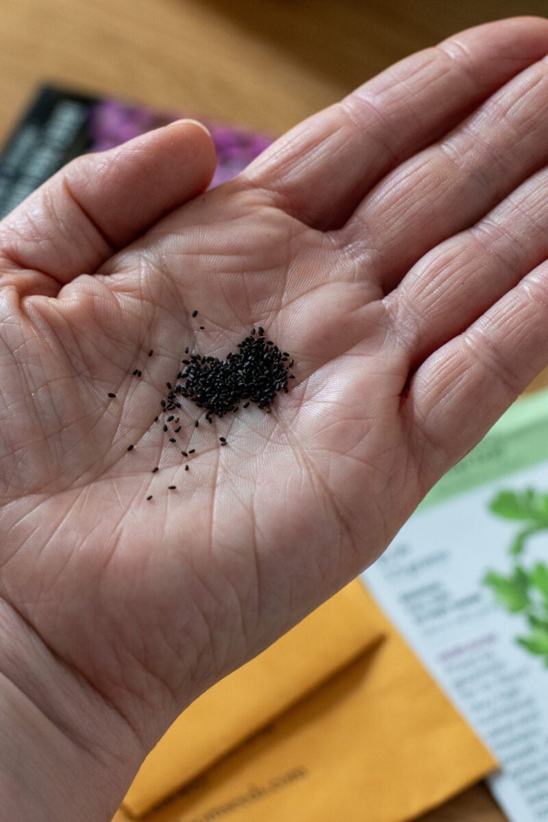 27 Seeds You Need to Refrigerate Before You Sow