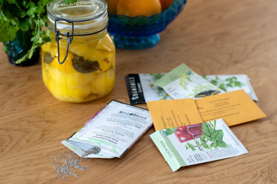 27 Seeds You Need to Refrigerate Before You Sow