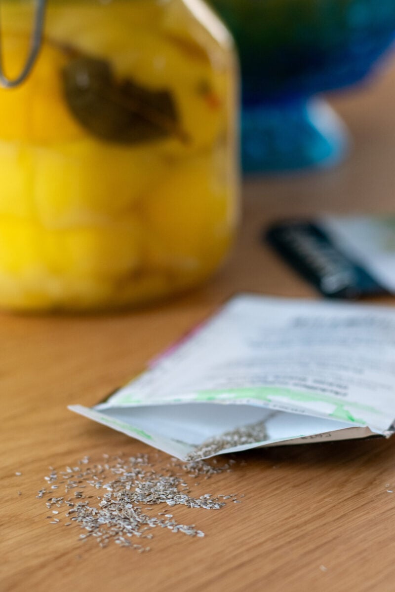 27 Seeds You Need to Refrigerate Before You Sow