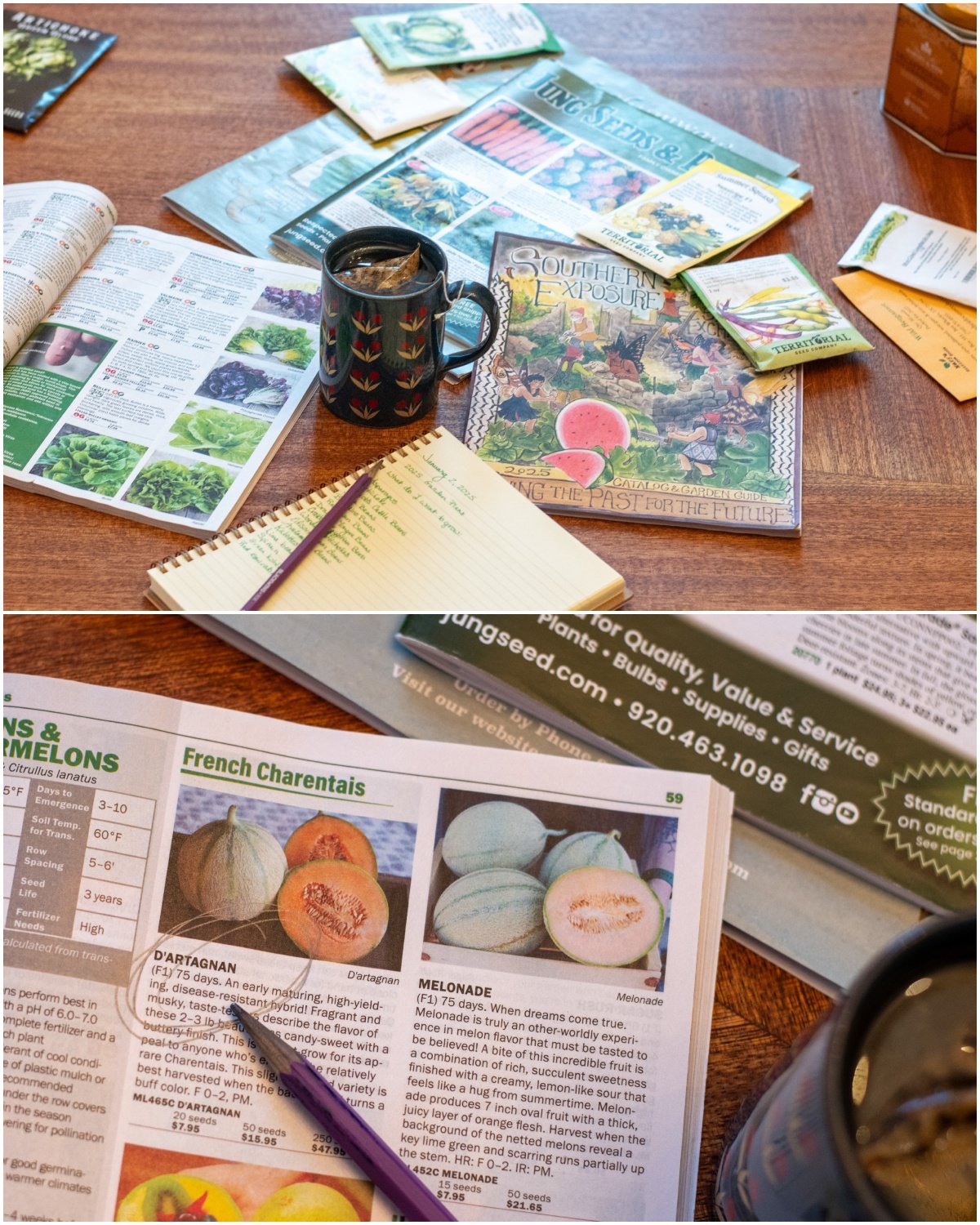 17 Free Seed & Plant Catalogs Every Gardener Should Know About