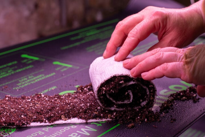 The Snail Seed-Starting Method - A Clever Way to Save Space and Money