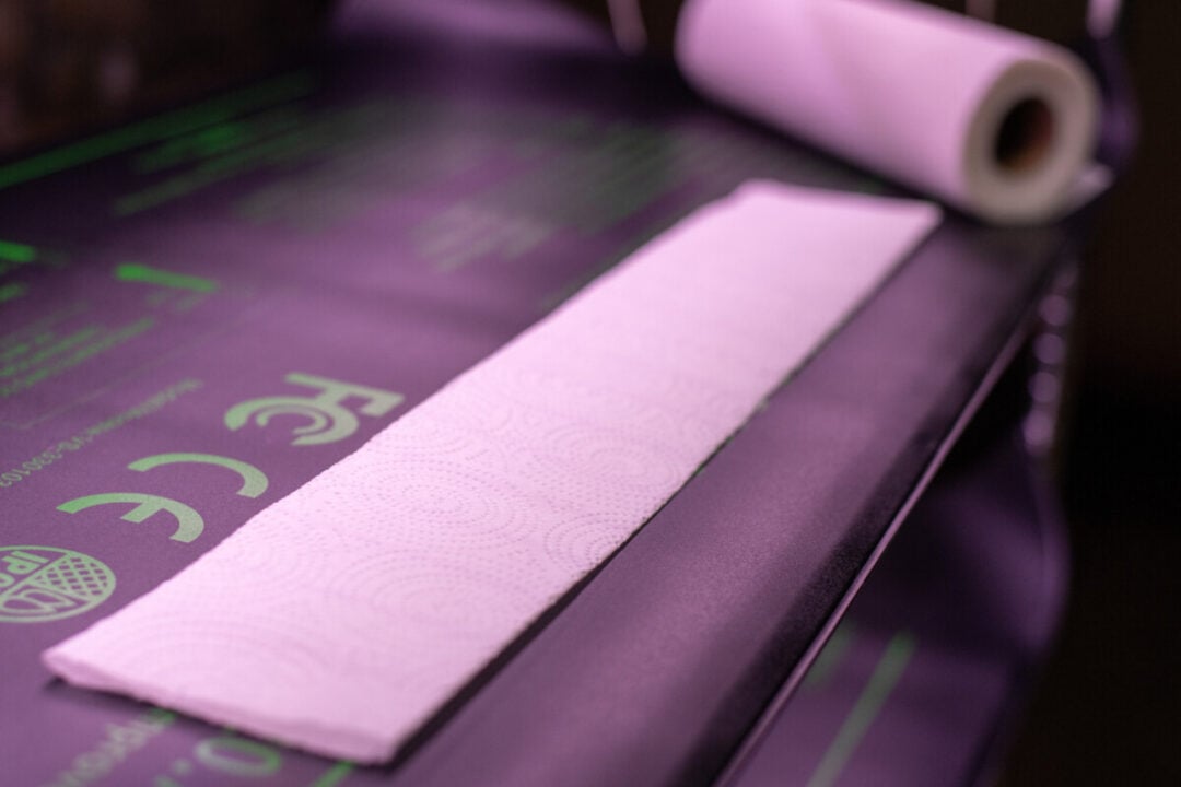 The Snail Seed-Starting Method - A Clever Way to Save Space and Money