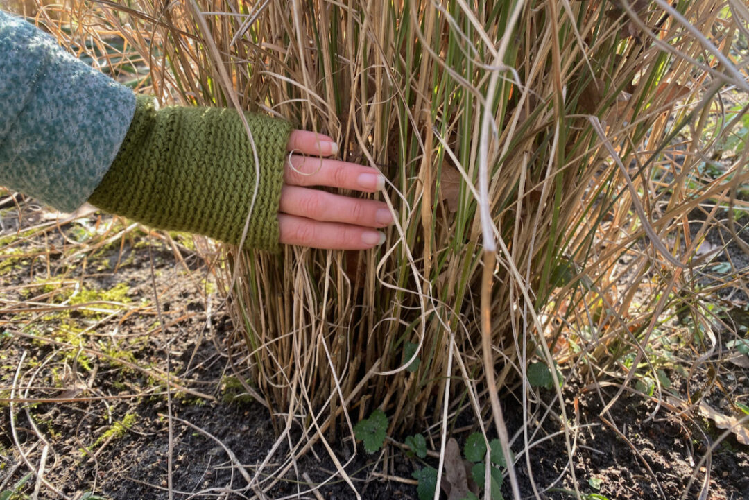 My Easy Trick To Prune Ornamental Grasses (But Should You Even Bother?)