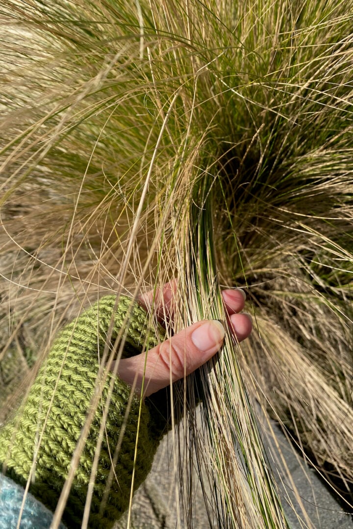 My Easy Trick To Prune Ornamental Grasses (But Should You Even Bother?)