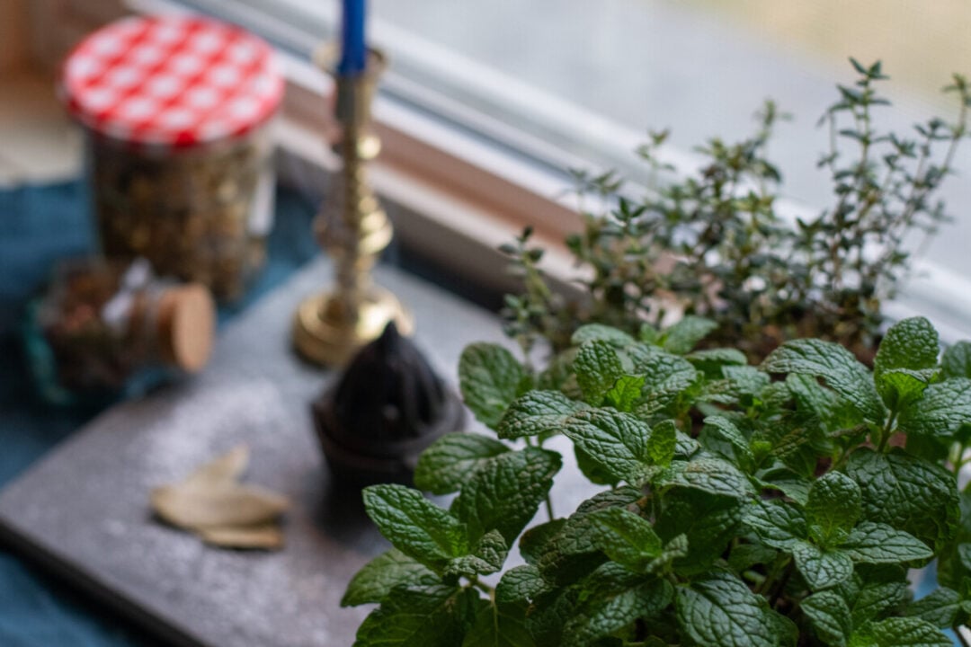 10 Common Herbs Used for Magical Practices & How to Grow Them