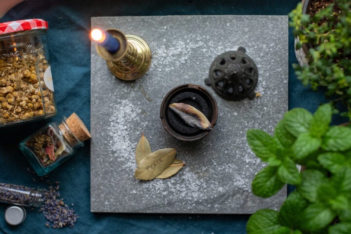 10 Common Herbs Used for Magical Practices & How to Grow Them
