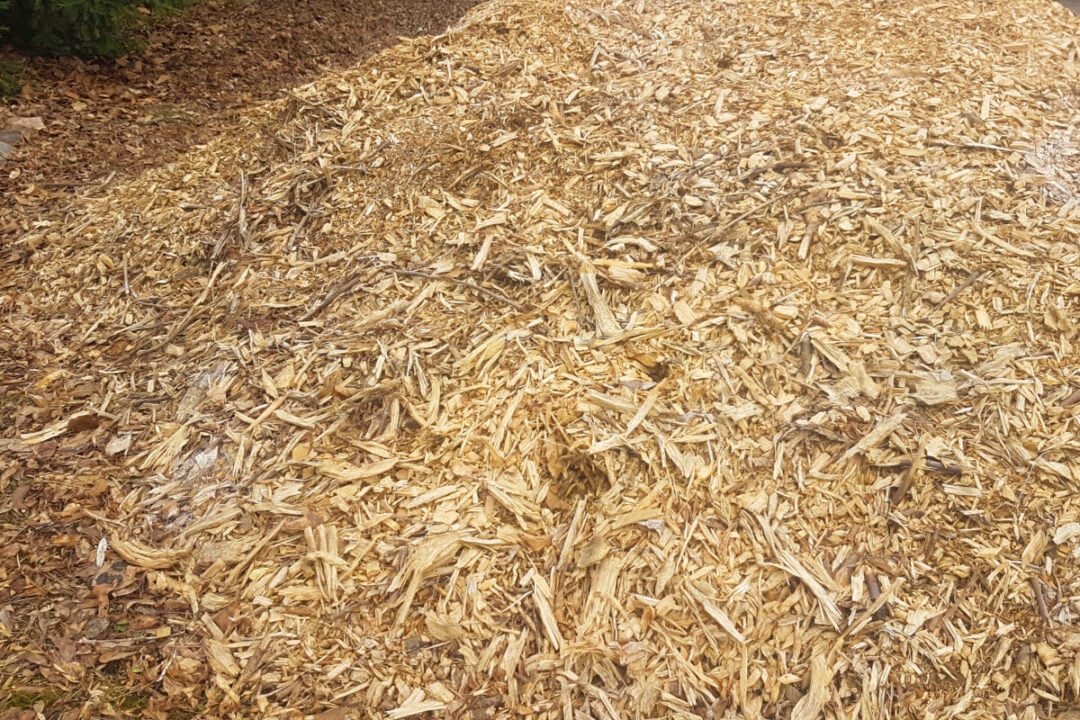 7 Reasons To Mulch With Wood Chip + 4 Ways to Get it for Free