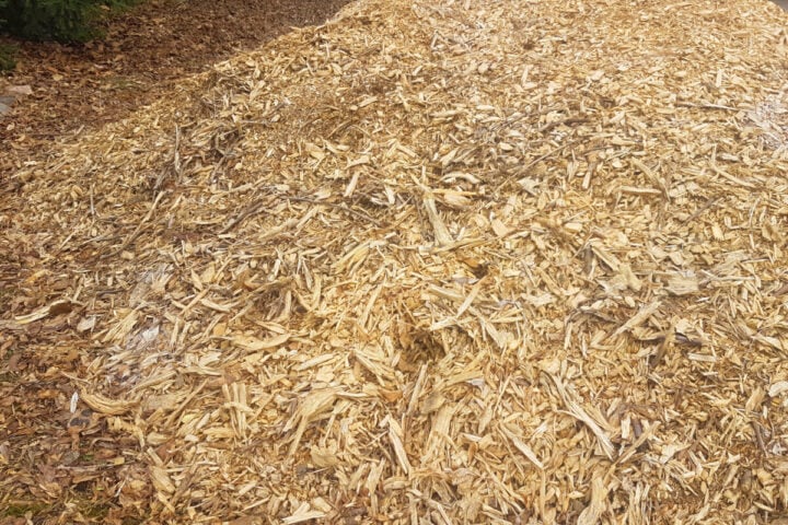 7 Reasons To Mulch With Wood Chip + 4 Ways to Get it for Free