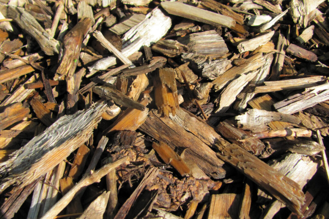 7 Reasons To Mulch With Wood Chip + 4 Ways to Get it for Free