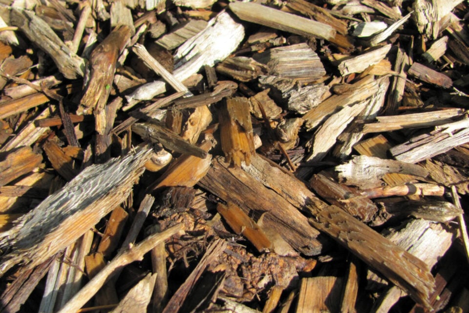 7 Reasons To Mulch With Wood Chip + 4 Ways to Get it for Free
