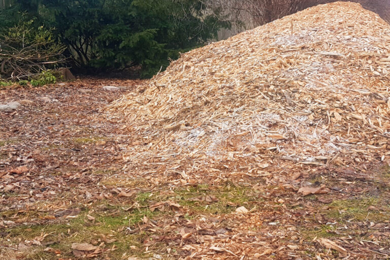7 Reasons To Mulch With Wood Chip + 4 Ways to Get it for Free