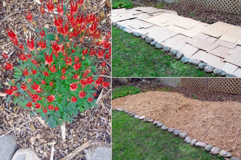 Create New Flower Beds on Top of Your Lawn - No Digging & Plant Right Away