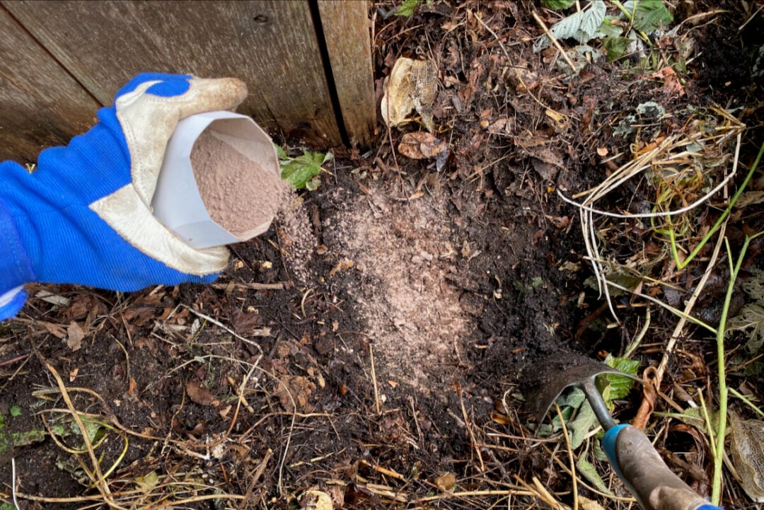 Why You Should Add Volcanic Rock Dust To Your Soil