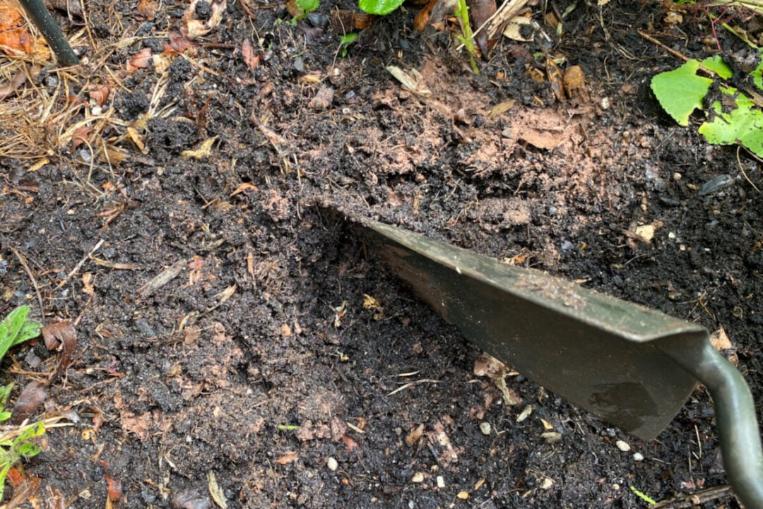 Why You Should Add Volcanic Rock Dust To Your Soil