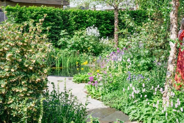 The Chelsea Chop - 28 Perennials You Need To Prune In Late Spring