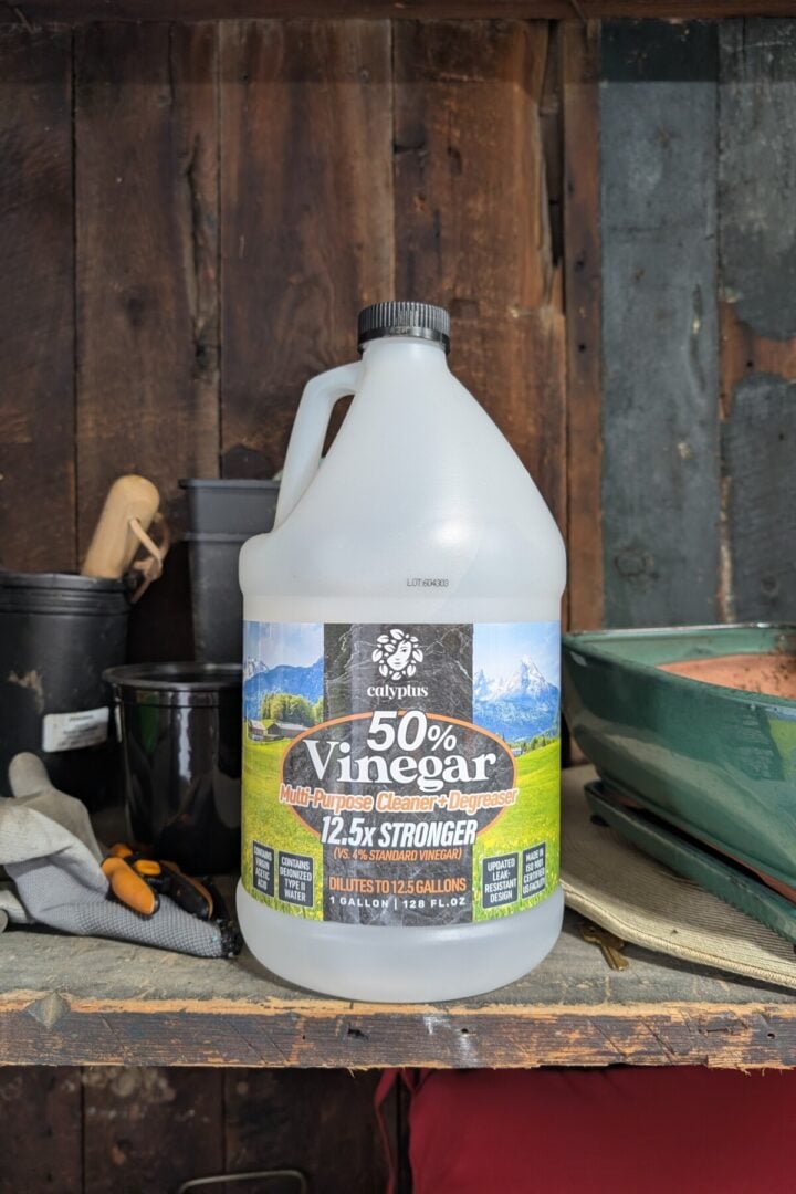 Horticultural Vinegar - the Natural Weed Killer That’s Better Than the Scary Chemical Stuff