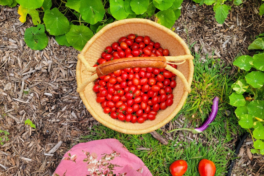 How To Improve the Flavor of Your Homegrown Tomatoes (+ The Big Mistake ...