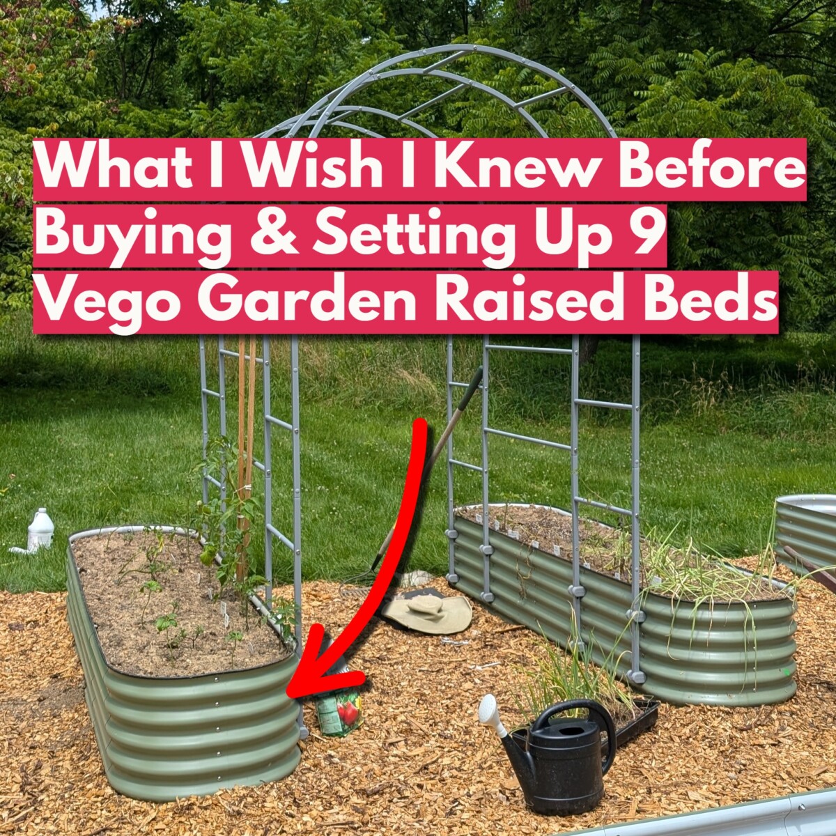 What I Wish I Knew Before Buying & Setting Up 9 Vego Garden Raised Beds