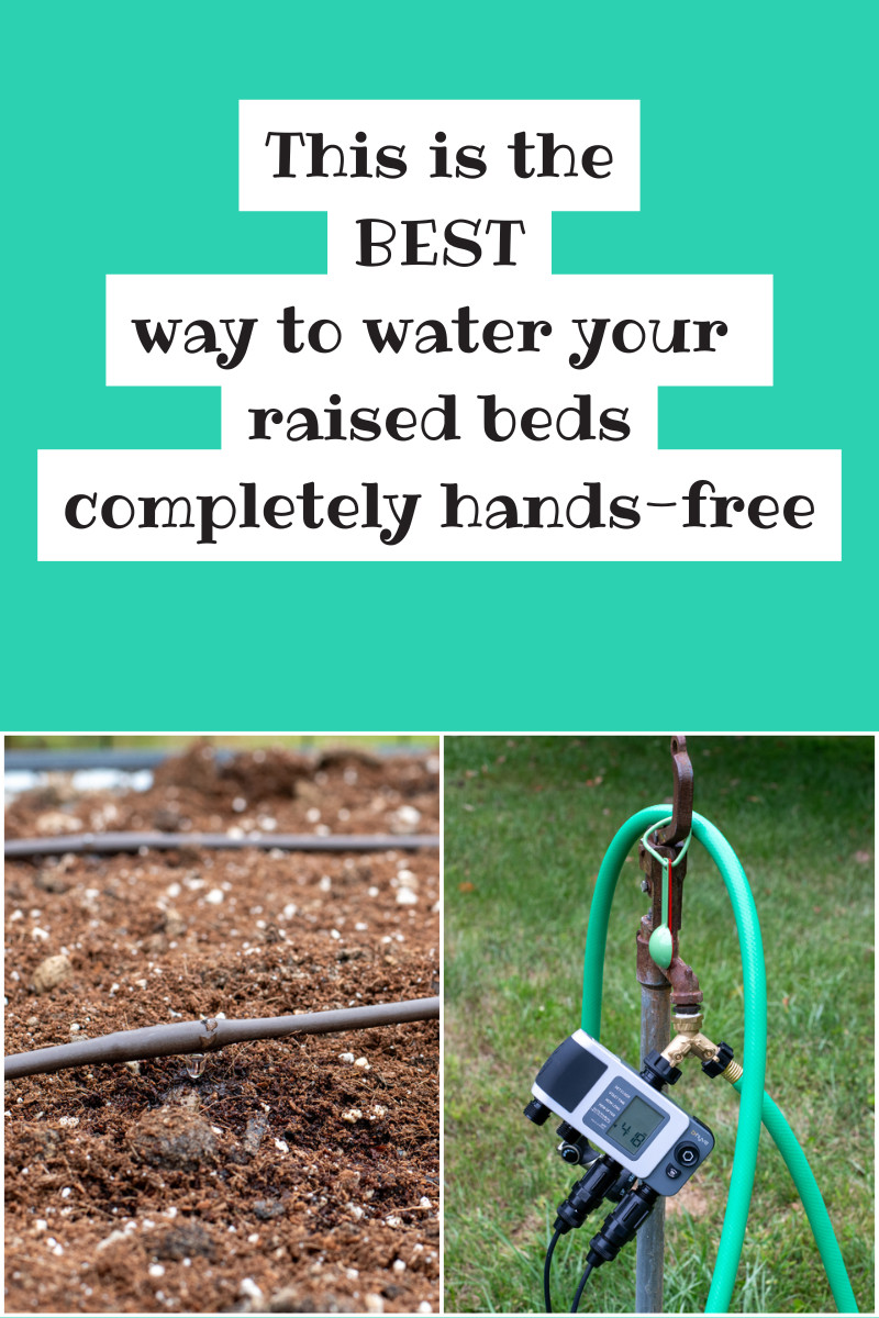 The Best Way to Water Raised Beds (& it's Hands-free)