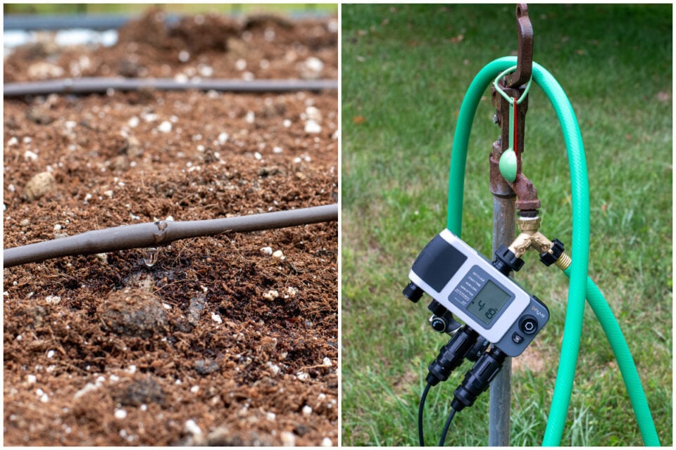 The Best Way to Water Raised Beds (& it's Hands-free)