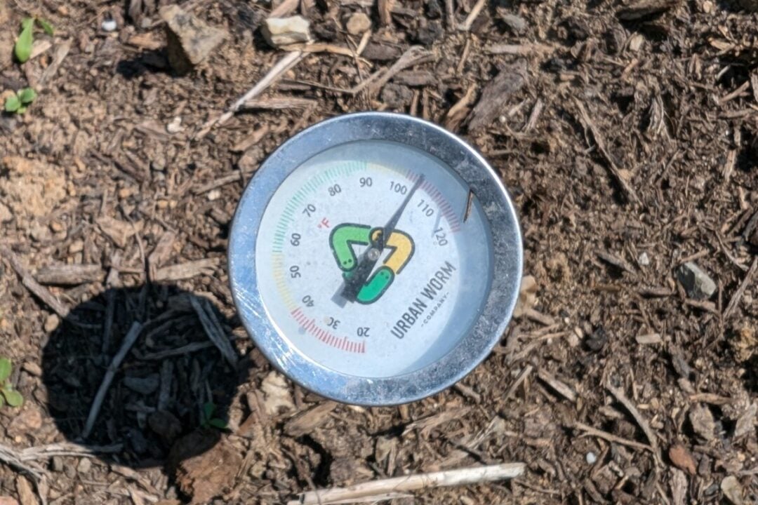 These Raised Bed Soil Red Flags Mean It's Time for a Reset