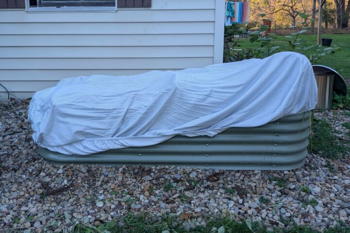 3 Step Frost & Freeze Protection to Save Your Garden