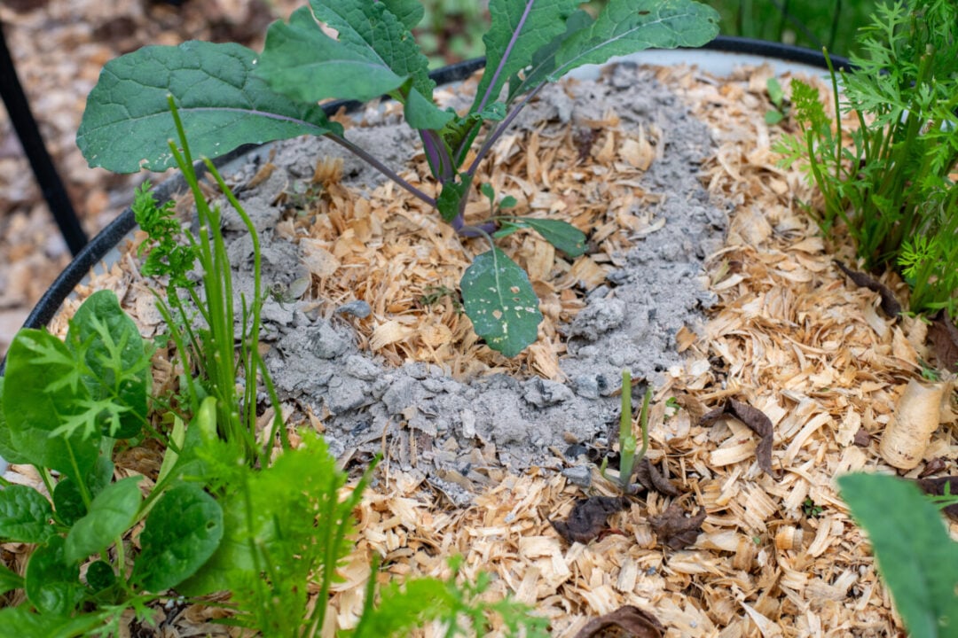 5 Brilliant Wood Ash Uses in the Garden (& One Thing It Can't Fix)