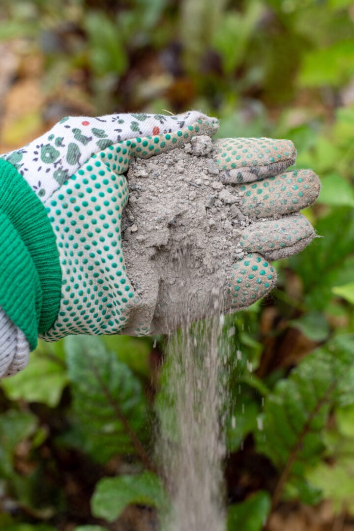 5 Brilliant Wood Ash Uses in the Garden (& One Thing It Can't Fix)