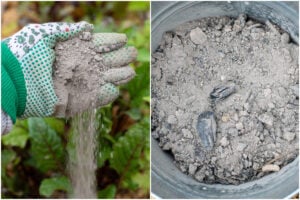 5 Brilliant Wood Ash Uses in the Garden (& One Thing It Can't Fix)