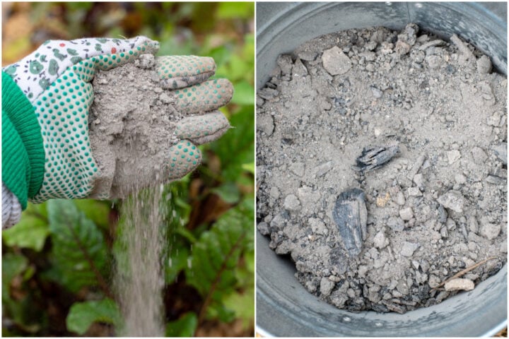 5 Brilliant Wood Ash Uses in the Garden (& One Thing It Can't Fix)