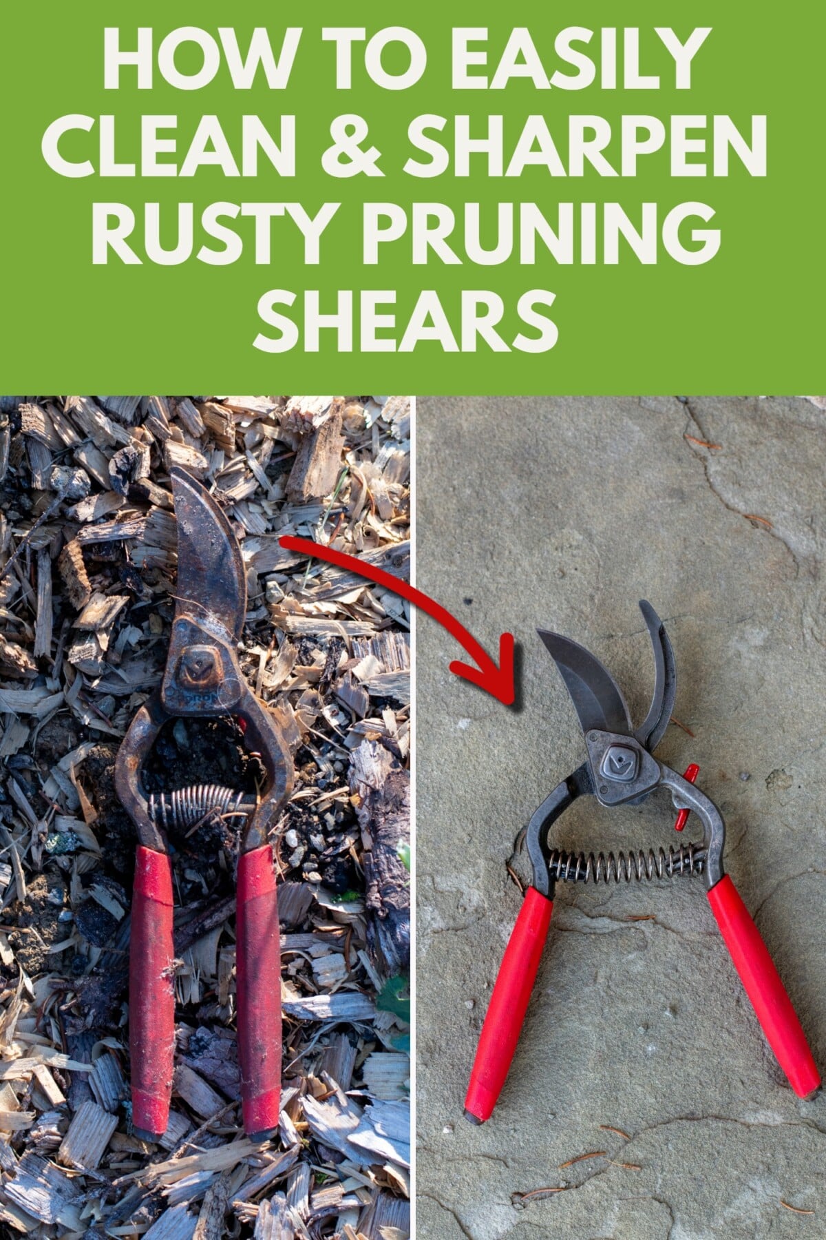 How to Easily Clean & Sharpen Rusty Pruning Shears