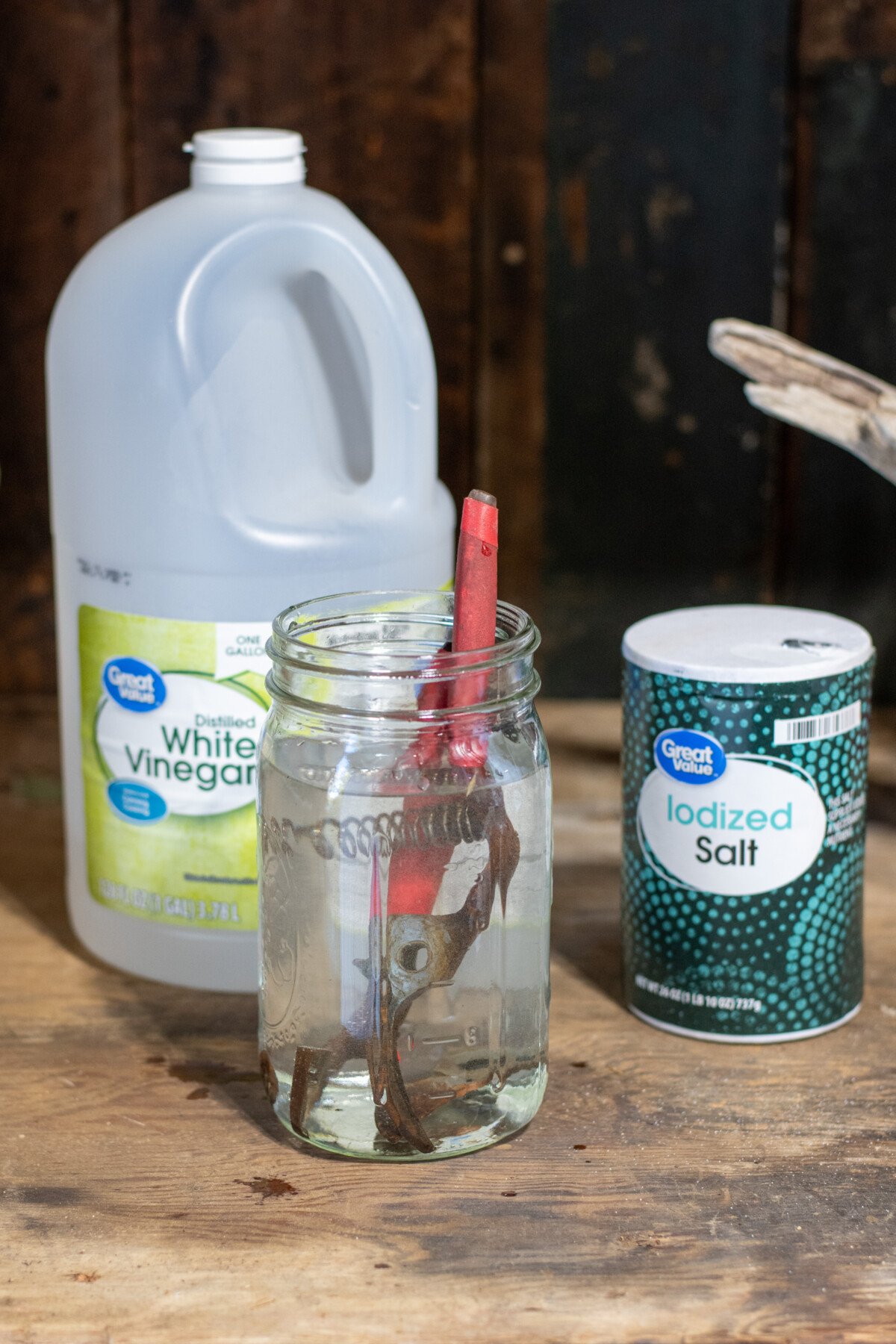 How to Easily Clean & Sharpen Rusty Pruning Shears