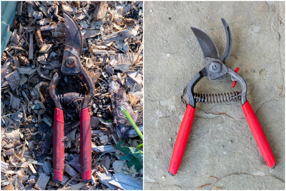 How to Easily Clean & Sharpen Rusty Pruning Shears