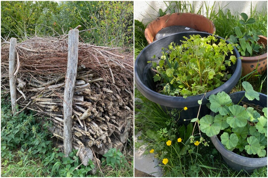 7 Low-Effort Ways to Make the Best of Messy Garden Corners